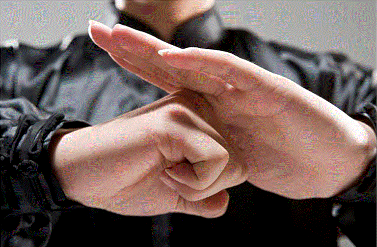 Der traditionelle Kung Fu Gruss, das ist Wichtig - Longshi Blog